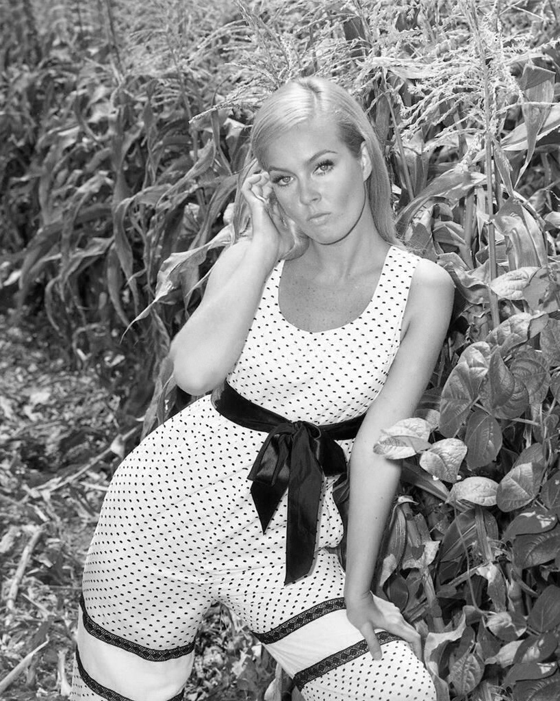 Picture of Venita Wolf