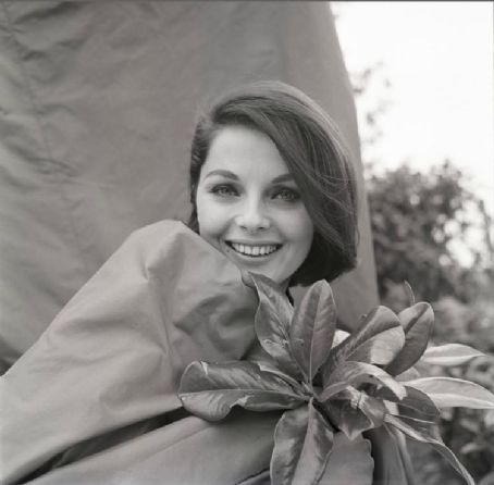 Picture of Virna Lisi