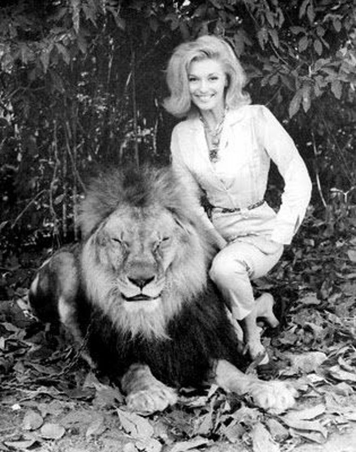 Picture of Nancy Kovack