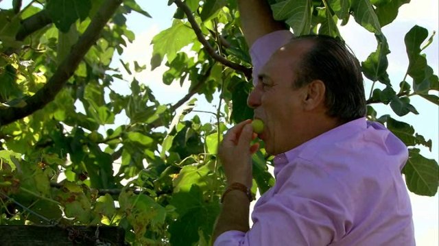 Picture of Two Greedy Italians