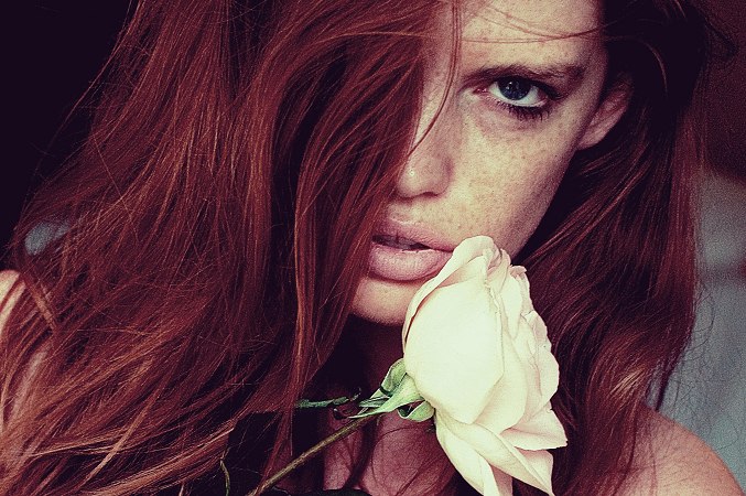 Picture of Kate Potter