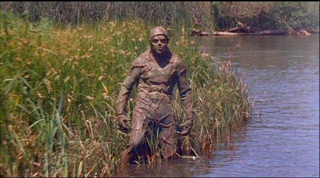 Picture of Swamp Thing