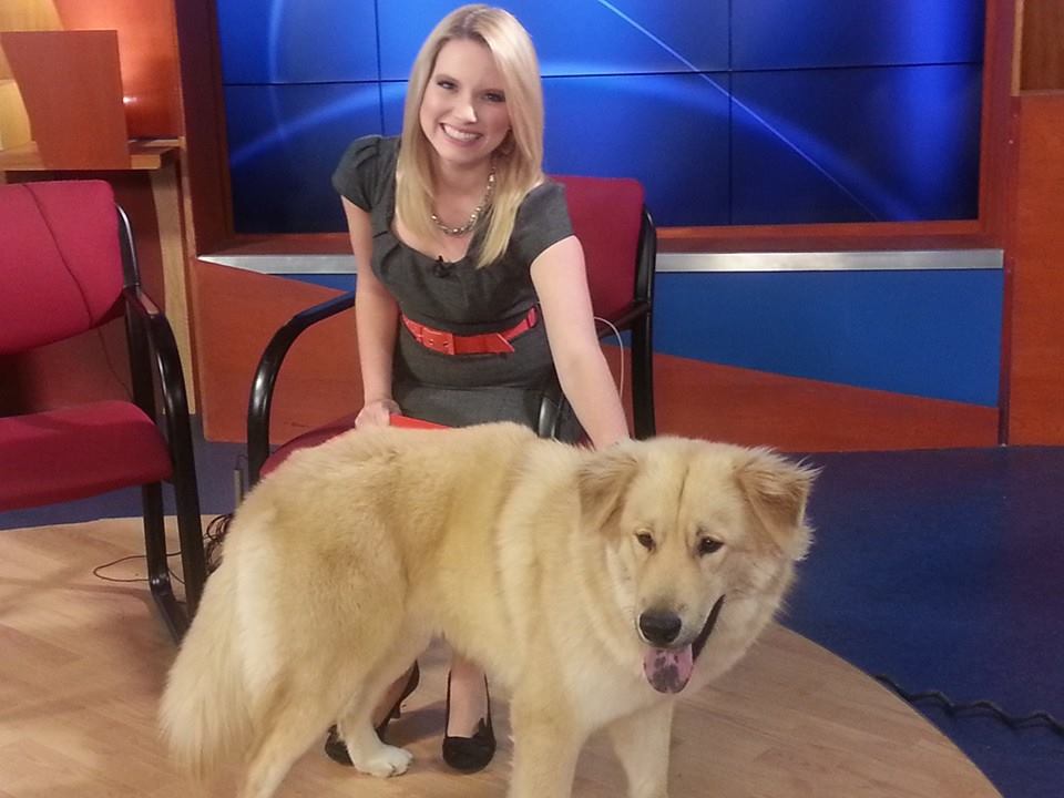 Picture of Krystal Klei