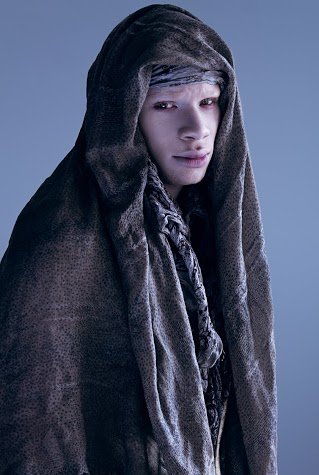 Picture of Sir Maejor