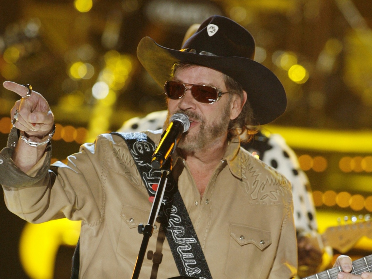 Hank Williams Jr. image