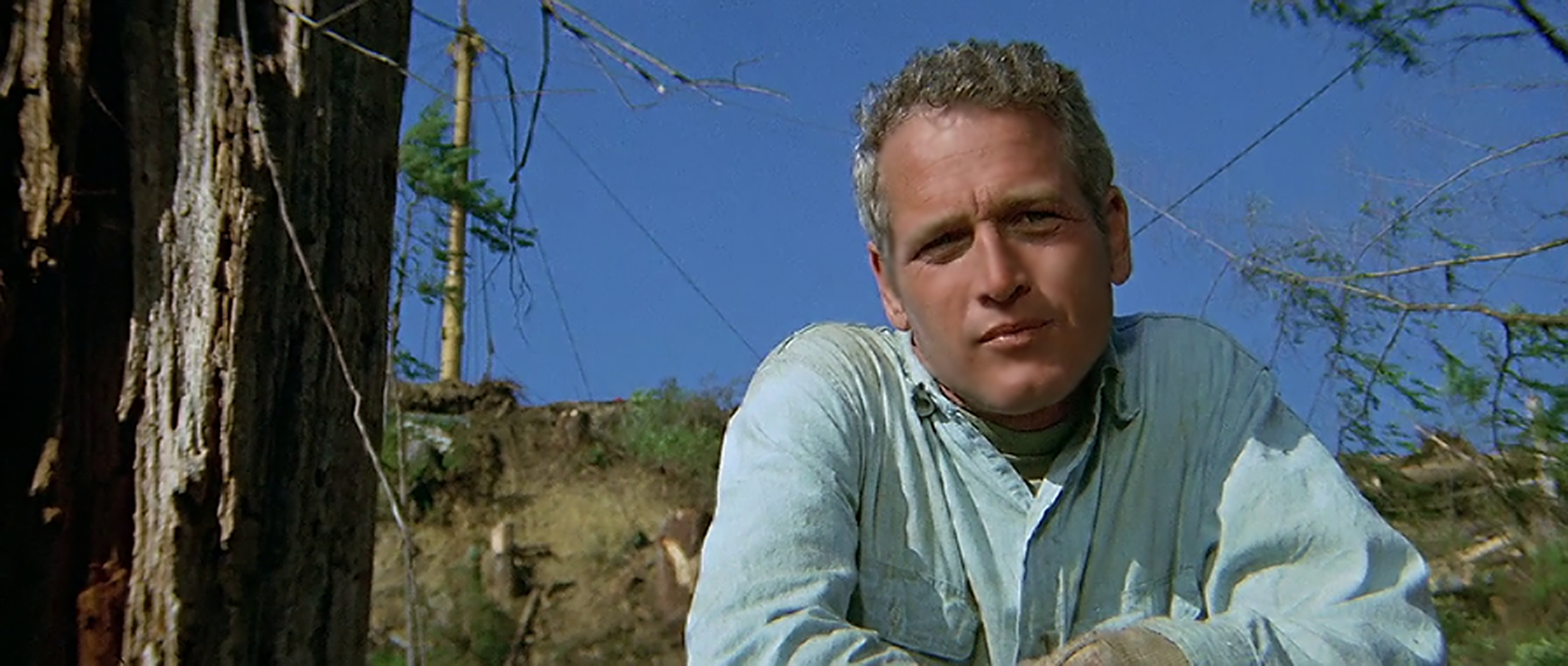 Paul Newman