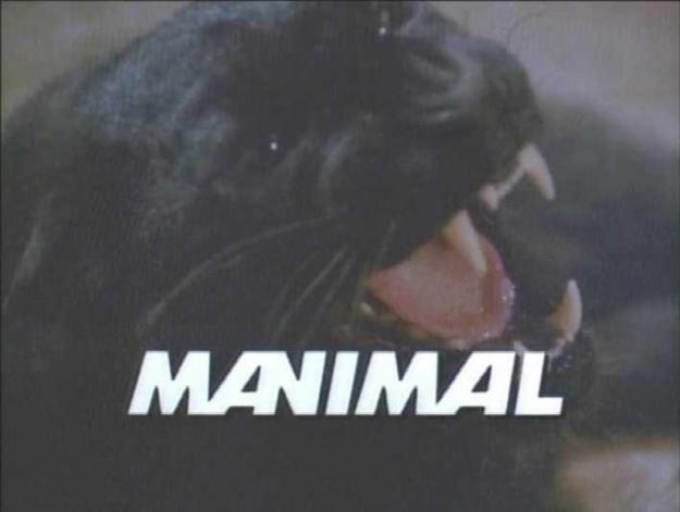Picture of Manimal