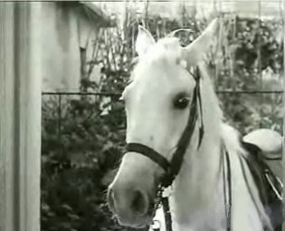 Picture of The White Horses