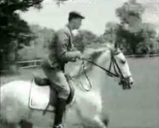Picture of The White Horses