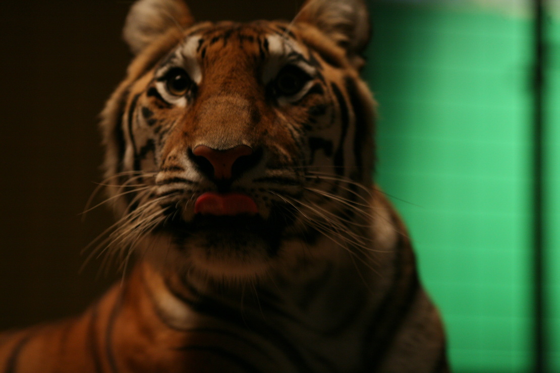 Image of Burning Bright (2010)