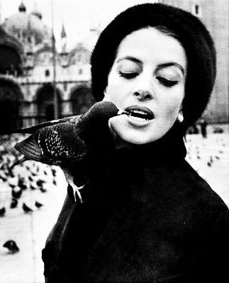 Image of Capucine