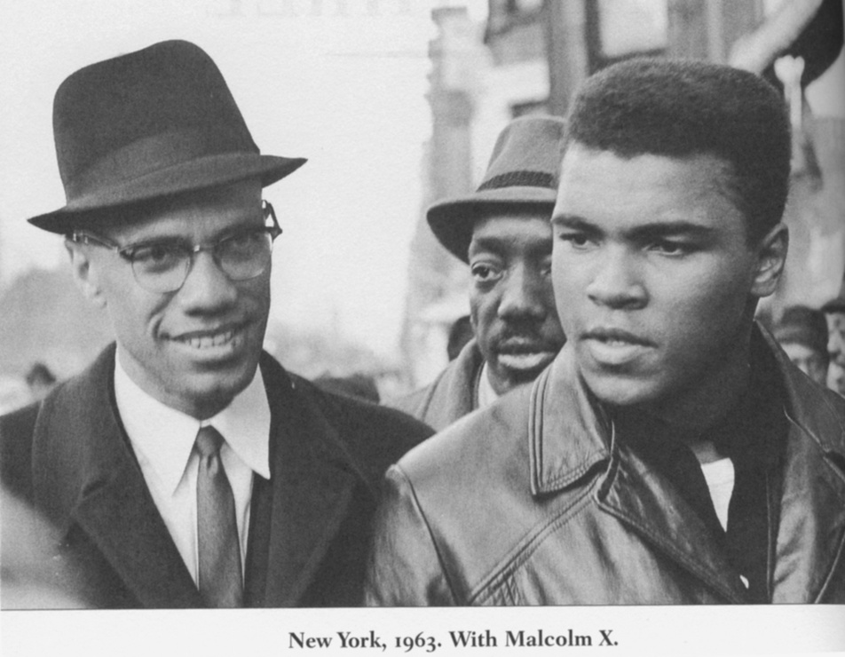 Picture of Malcolm X