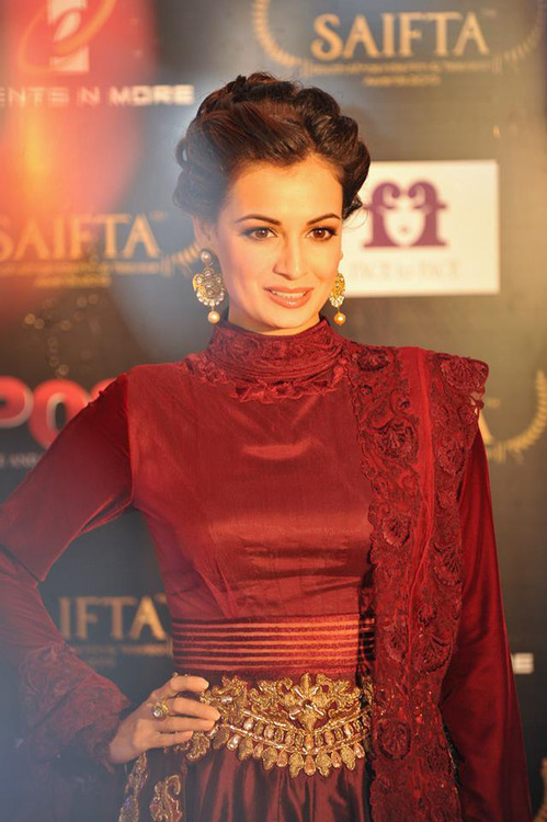 Picture of Diya Mirza