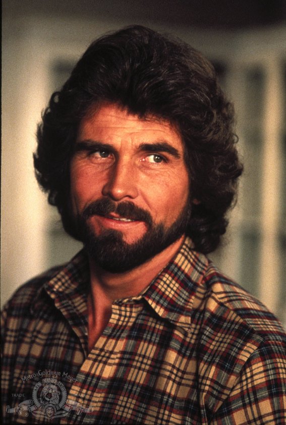 Picture of James Brolin