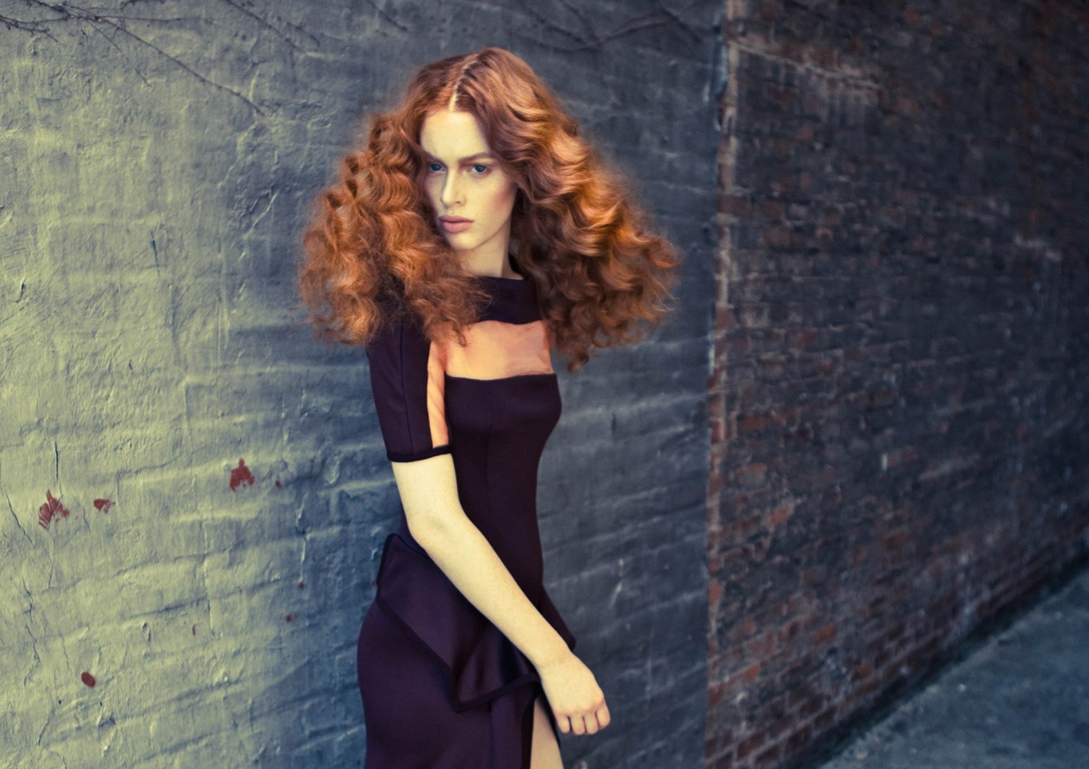 Laura Schuller image