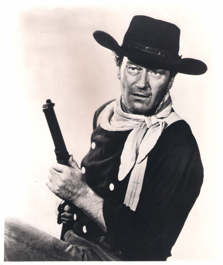 Picture of The Searchers