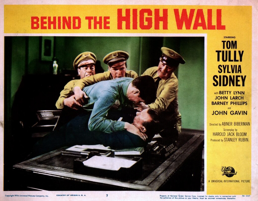 Picture of Behind the High Wall