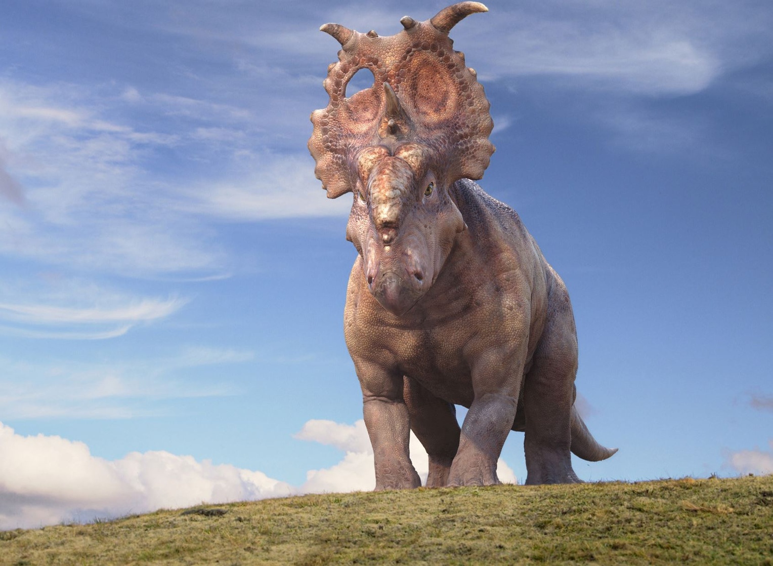 Picture of Walking with Dinosaurs