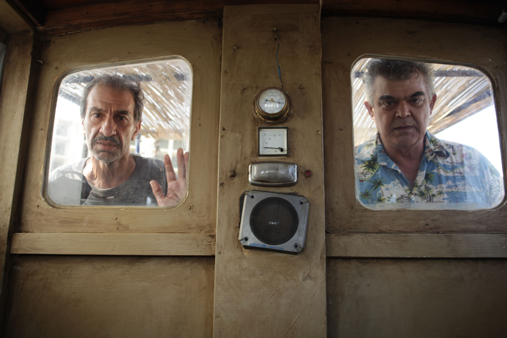 When Pigs Have Wings picture