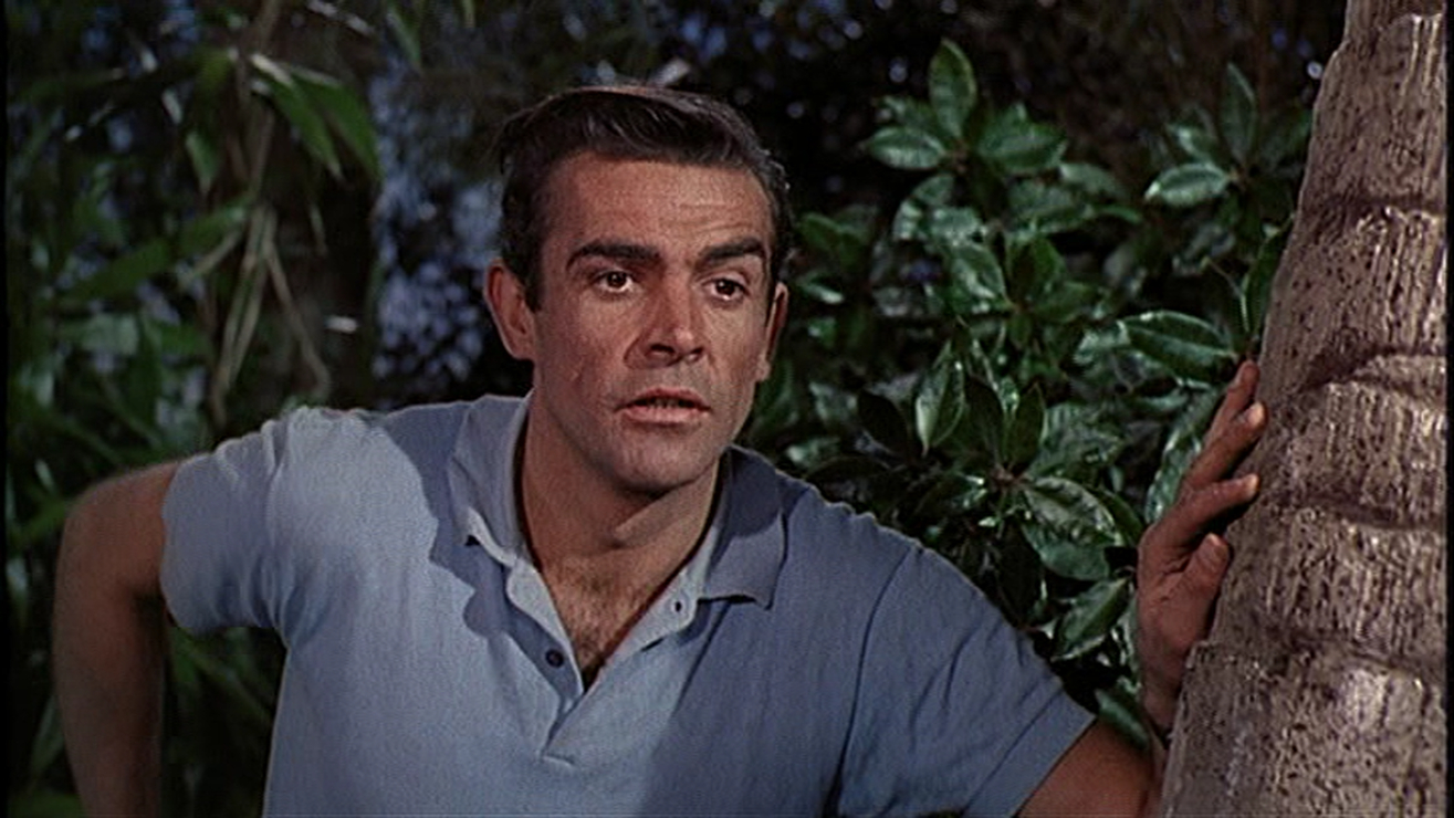 Picture of Dr. No