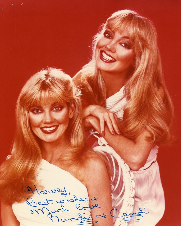 Candi Brough image