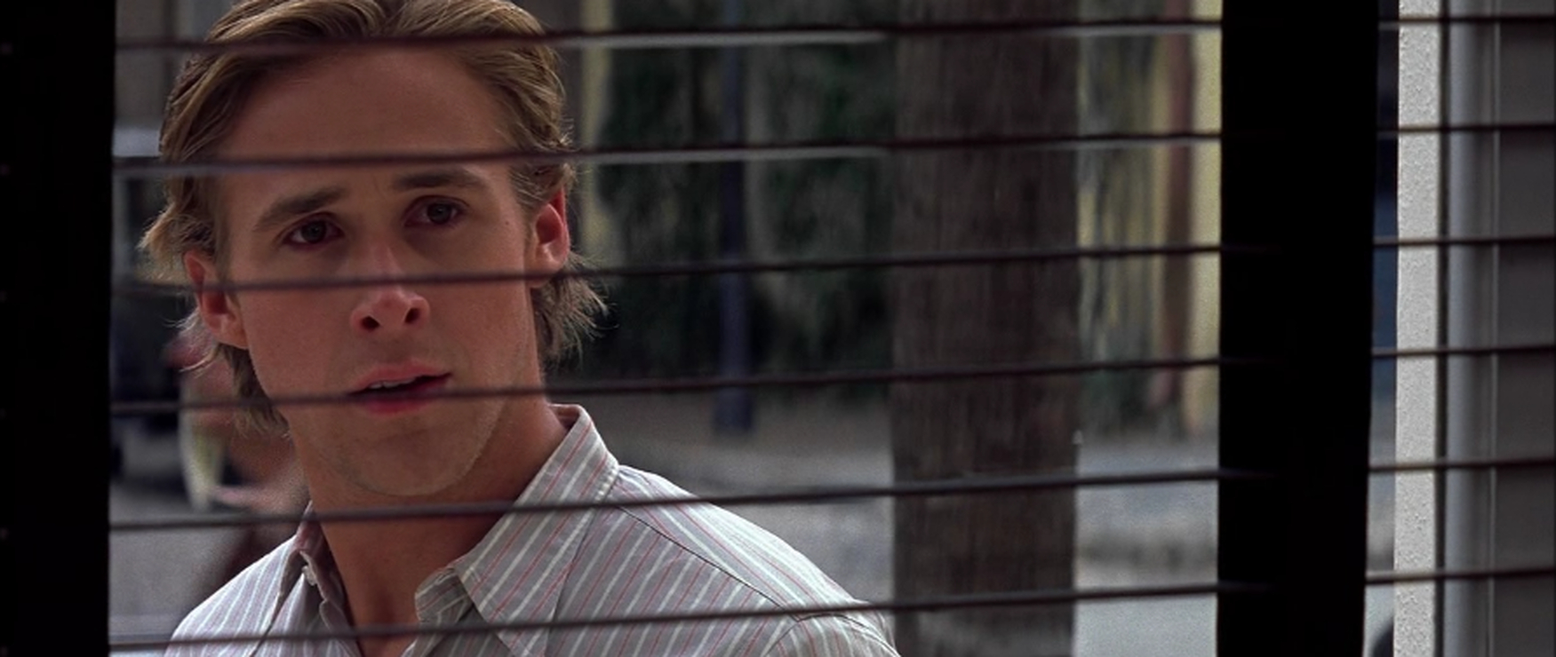 Picture of The Notebook