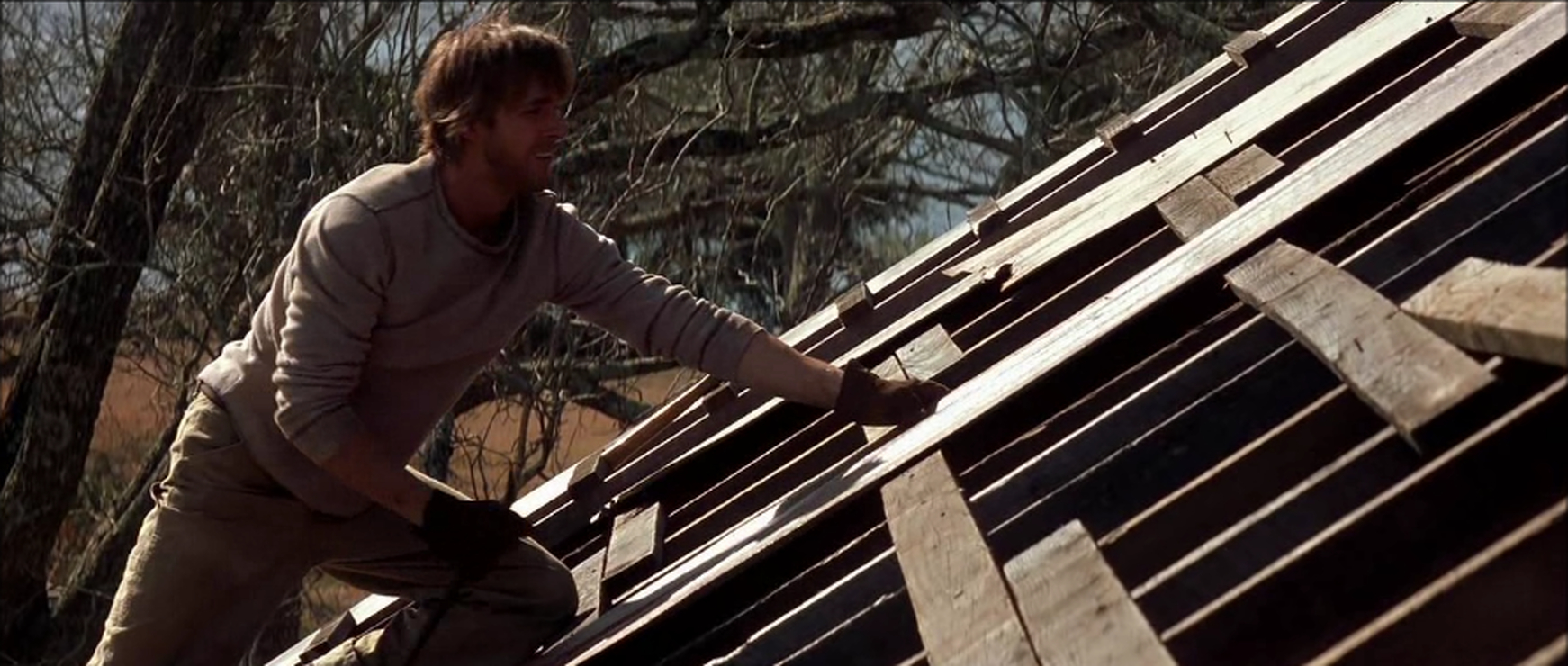 Picture of The Notebook