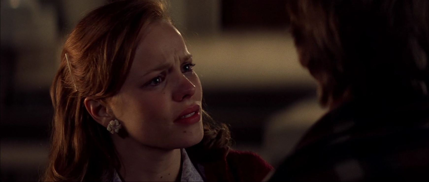 Picture of The Notebook