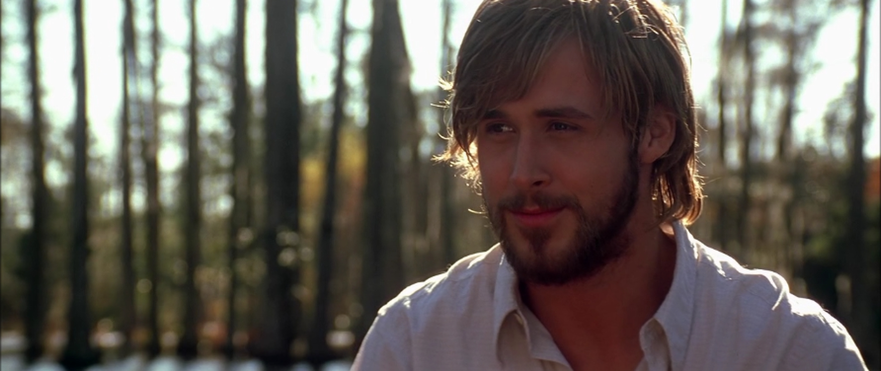 Picture of The Notebook