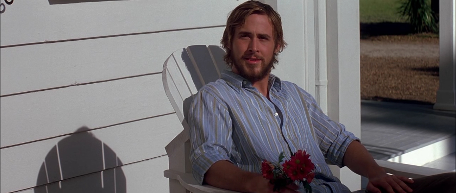 Picture of The Notebook