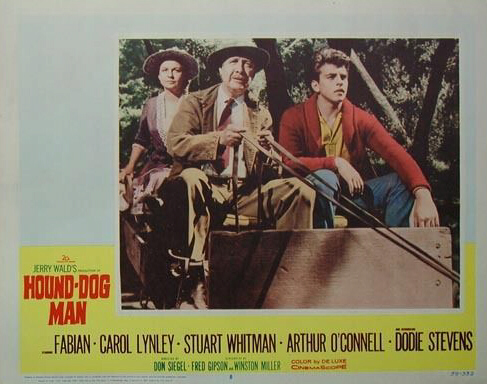 Picture of Hound-Dog Man