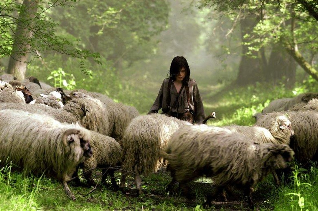 Jacquou le croquant image