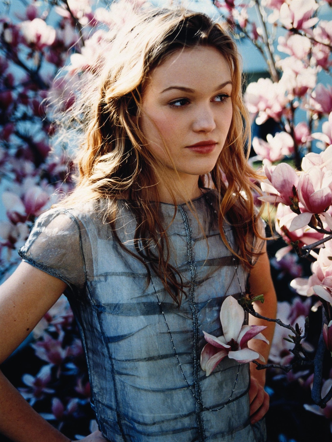 Image of Julia Stiles