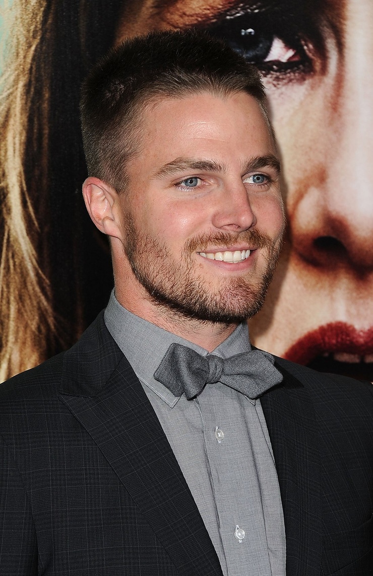 Stephen Amell picture