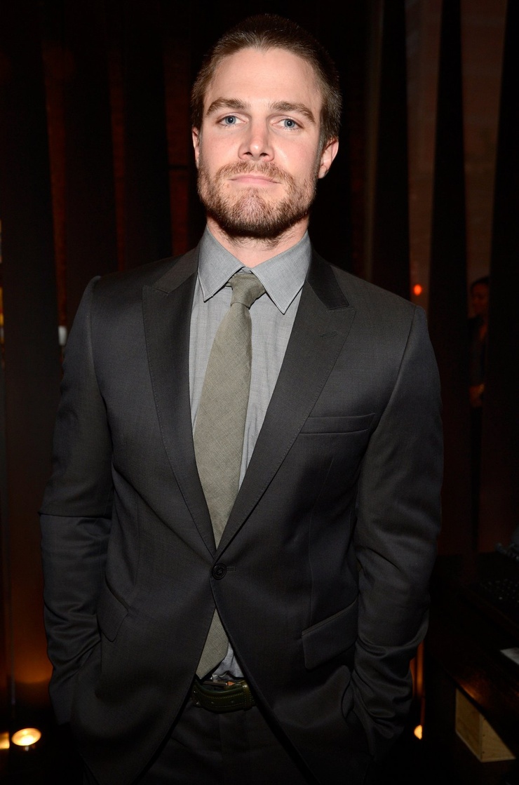 Stephen Amell picture