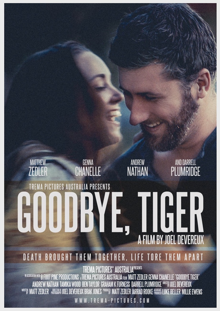 Goodbye, Tiger image