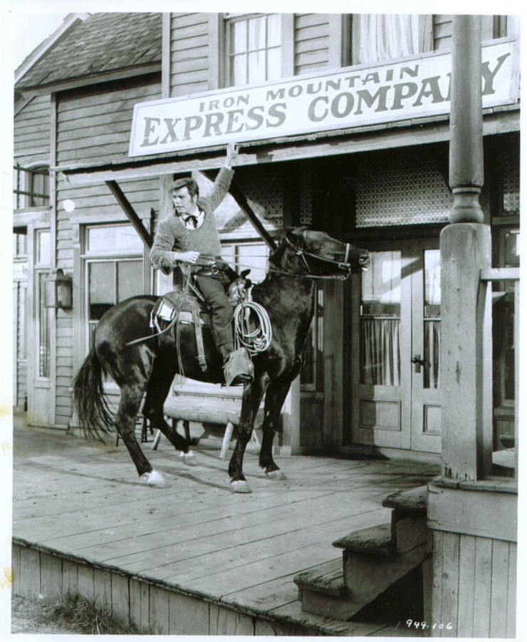 Picture of The True Story of Jesse James