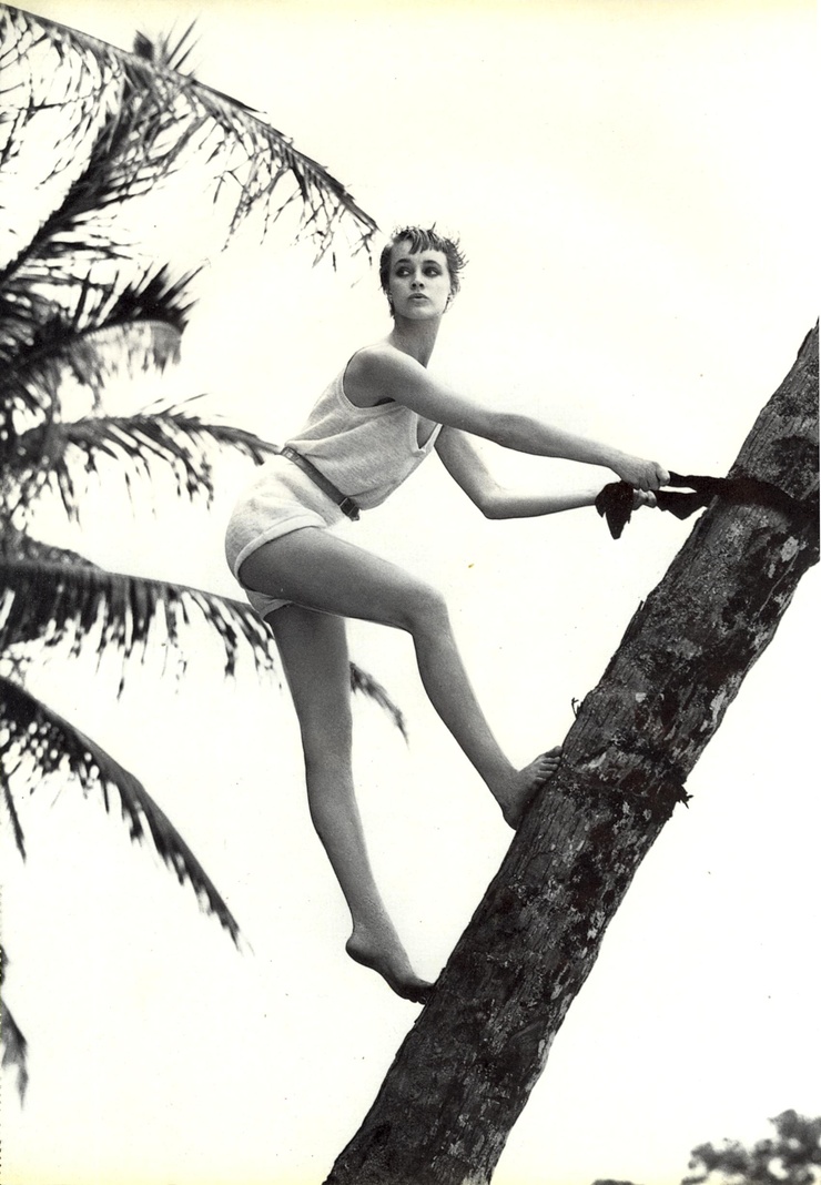 Picture of Susan Hess