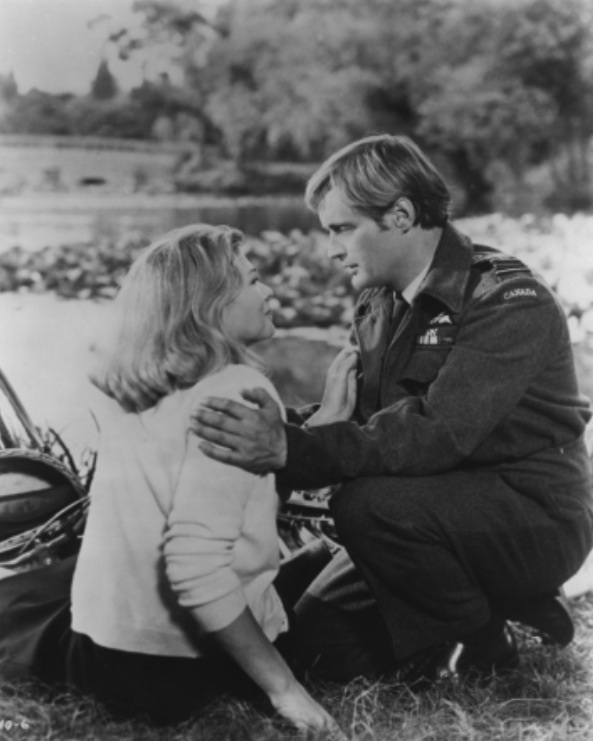 Picture of Suzanne Neve