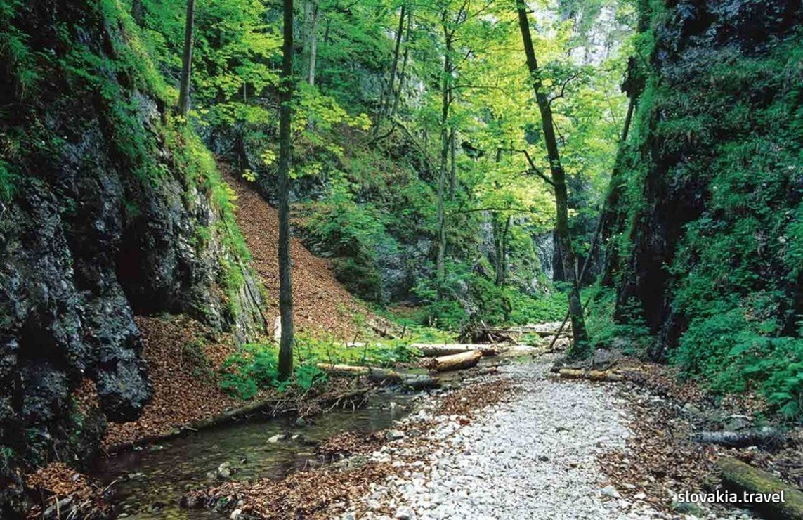 national park Slovenský Raj