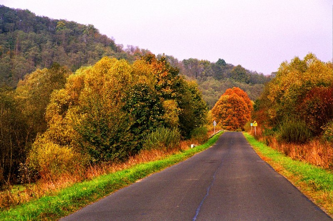National Park POLONINY