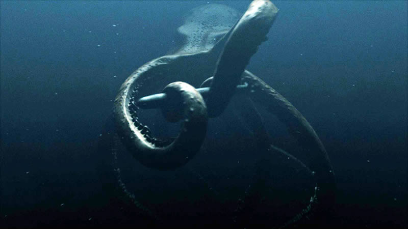 Picture of Mega Shark vs. Giant Octopus (2009)