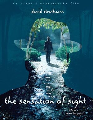 Image of The Sensation of Sight