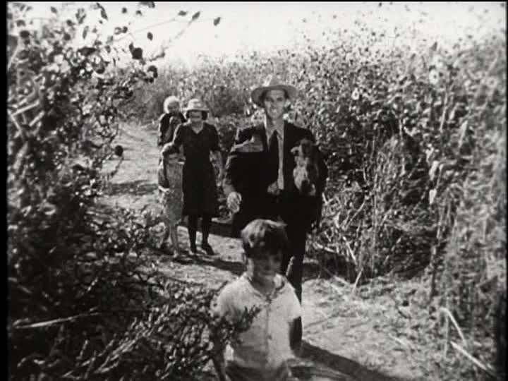 Picture of The Southerner