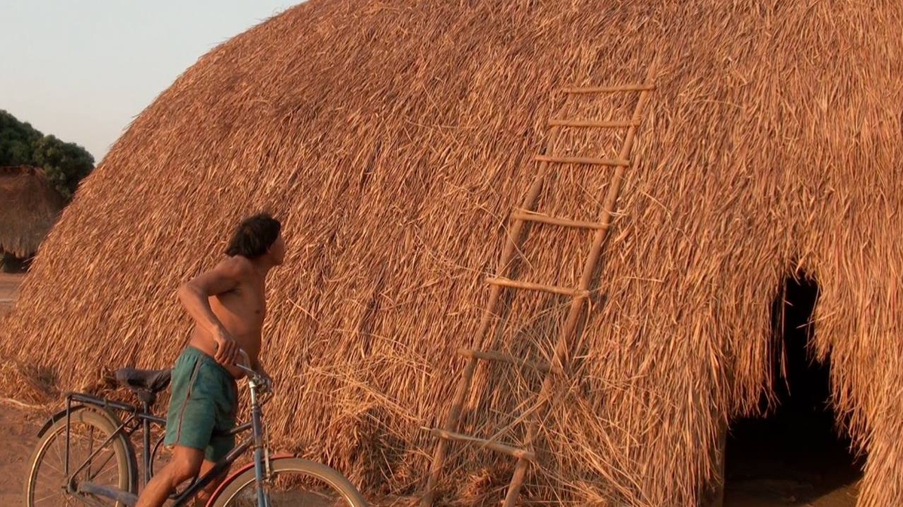 Picture of The Hyperwomen