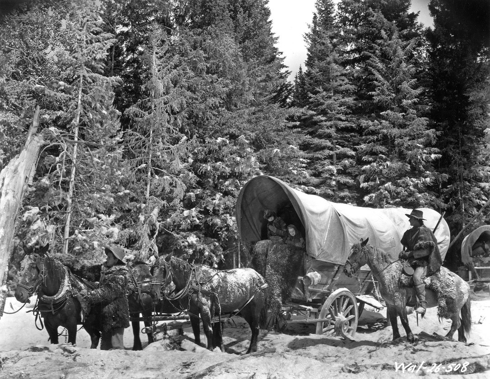 Image of The Big Trail