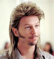 Picture of Joe Dirt