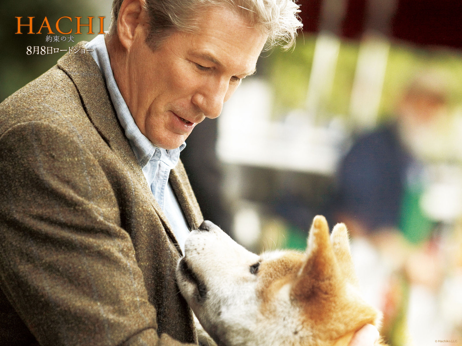 Picture of Hachi: A Dog's Tale