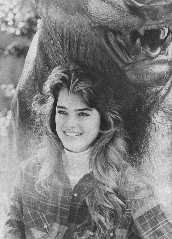 Picture of Brooke Shields