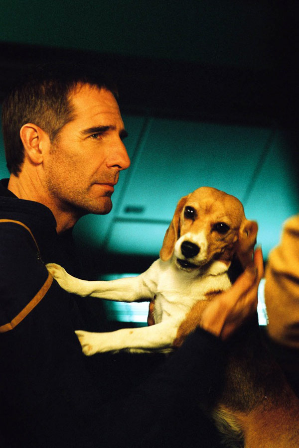 Scott Bakula picture